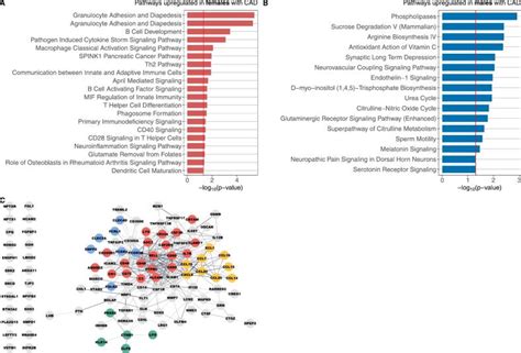 Sex Differences In Proteomics Of Cardiovascular Disease Results From The Yale Cmd Registry Pmc