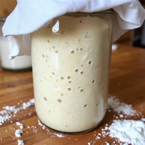 Amish Friendship Bread Starter Recipe