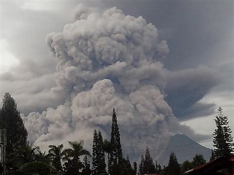 Pyroclastic Flow Serrecheap
