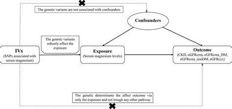 Diagram Of The Instrumental Variable Assumptions For The Mendelian