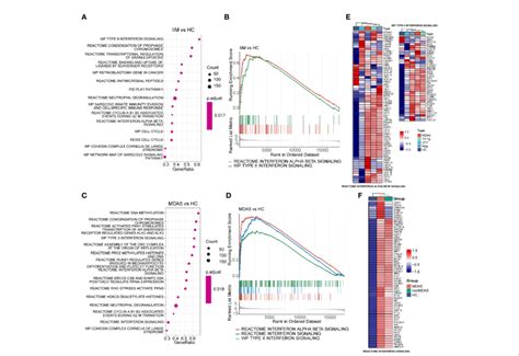 Gene Set Enrichment Analysis Of Patients With Idiopathic Inflammatory Download Scientific