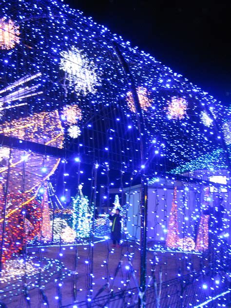 クリスマスの夜～貴女とふたり～ By Memories4103 （id：7409369） 写真共有サイトphotohito