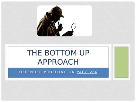 Bottom Up Approach Offender Profiling Forensic Psychology A Level As A2 Teaching Resources