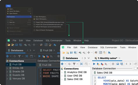 Whats New In Dbvisualizer 241