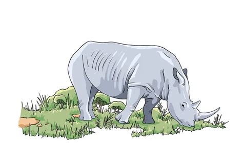 Everything You Need To Know About The Tilenga Biodiversity Program Totalenergies Uganda