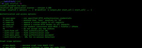 Как пользоваться SkipFish на Kali Linux