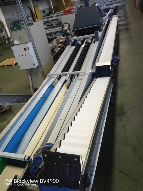 Compac Two Lines Sorting Line Fruit Graders