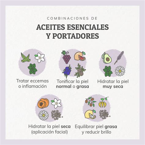 Diferencia Entre Neurotransmisores Excitatorios E Inhibidores