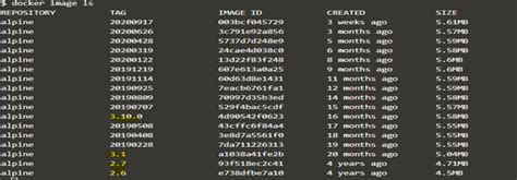 Docker Pull How Pull Command Works In Docker With Examples