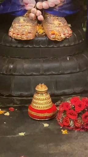 Jai Shree Venkatesh Artofit