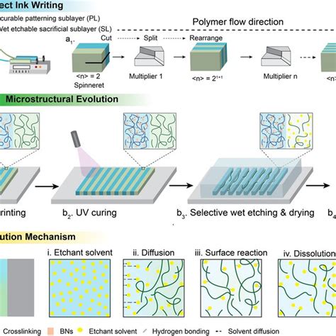 Fabrication Strategy For Micropatterns With Mdiw 3d Printing And Wet Download Scientific