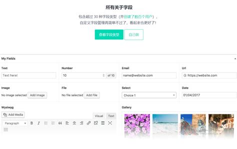 Advanced Custom Fields Pro汉化中文版强大专业直观的字段自定义wordpress插件介绍 搬主题