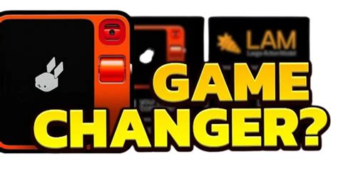 Llms Vs Lams Understanding The Difference