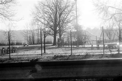 Sunny Day Shutterbug