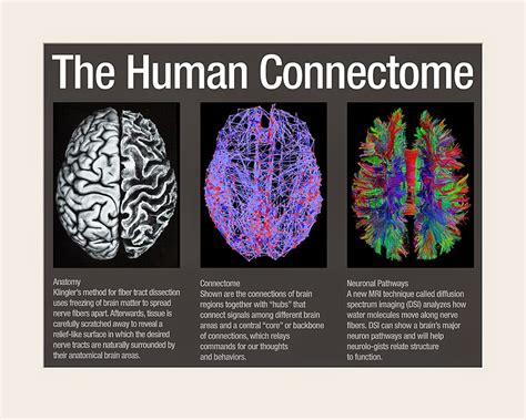 What Is A Science Map Exhibitricks The Museum Exhibit Design Blog