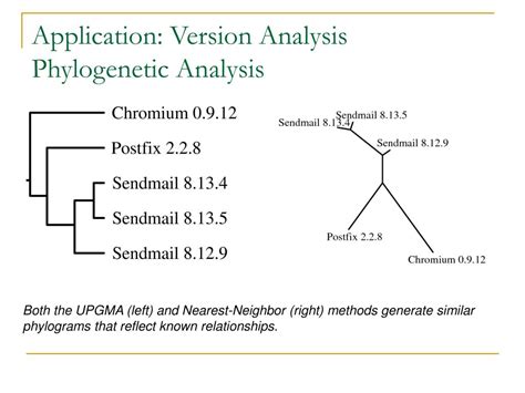 Ppt A Bioinformatics Approach To The Security Analysis Of Binary