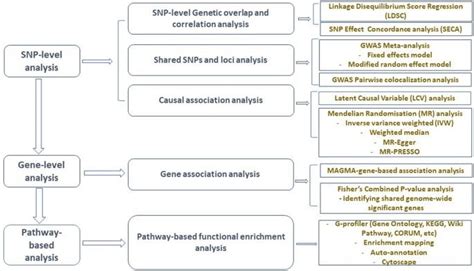A Large Scale Genome Wide Cross Trait Analysis Reveals Shared Genetic Architecture Between