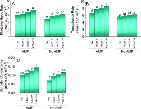 Effect Of Zinc Foliar Application At Tillering And Panicle Stages With Download Scientific