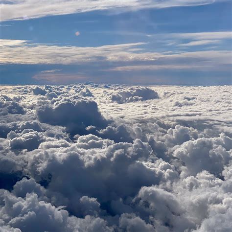 The Backyardigans Cave Party The Tea Party Dvd Hobbies And Toys Music And Media Cds And Dvds On