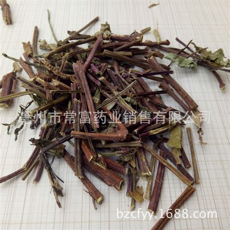中药材 猫须草 猫须公 肾茶 化石草 新货 色青无杂现货一件代发 阿里巴巴