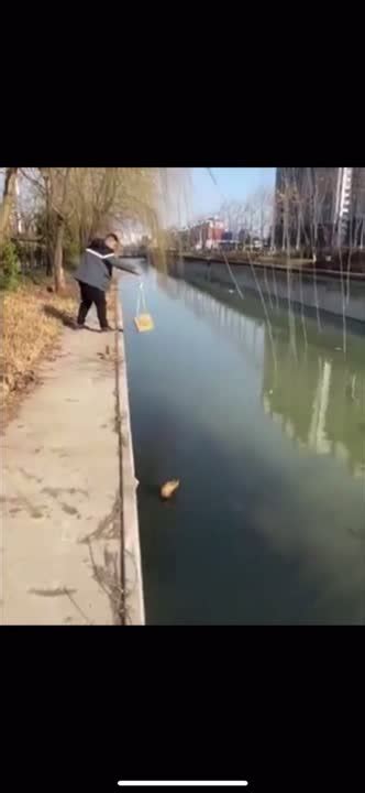 Hamidullah Bayram M Sc On Linkedin Linux Linuxcommands