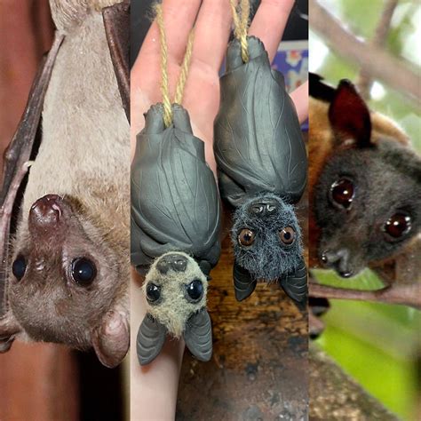Hanging Fruit Bat Ornaments I Made Based On The Egyptian Fruit Bat And The Australian Red Flying
