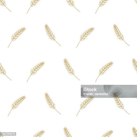 밀 귀의 매끄러운 패턴 곡물 작물의 귀의 벡터 배경 화면 배경 가을에 대한 스톡 벡터 아트 및 기타 이미지 가을 곡초류 꽃무늬 Istock