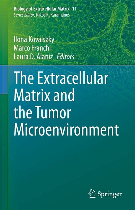 The Extracellular Matrix And The Tumor Microenvironment E Book