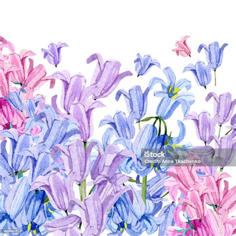 바이올렛 꽃 배너 수채화 그림 손으로 그린 보호 꽃 프레임 블루 벨 와일드 워워 우아한 정원 작은 꽃 색깔 트렌디 한 매우 페리 개화기에 대한 스톡 벡터 아트 및 기타