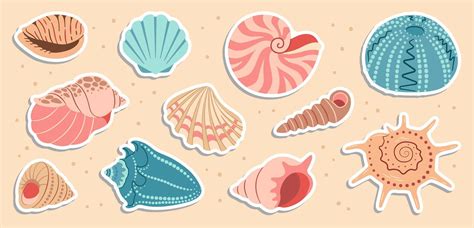Cute Sea Shells Sticker Set Trendy Flat Style Seashell Collection Ocean Underwater Sink