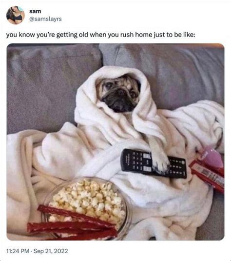 Memes About Aging Fun