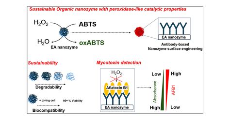 Sustainable Organic Nanozyme With An Integrated Colorimetric Sensing System For Mycotoxin