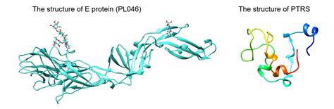 Teamccu Taiwanposter