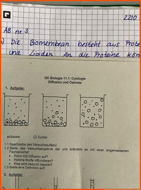 Diffusion Und Osmose Arbeitsblatt Allgemeine Arbeitsblätter