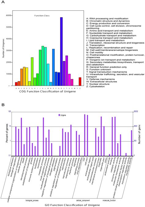a cog functional classification of the transcriptome a total of