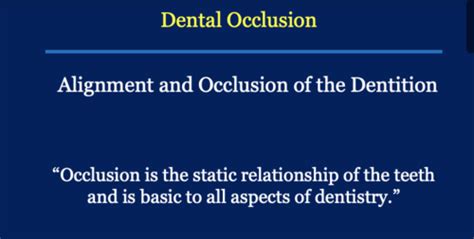 Occlusion Flashcards Quizlet