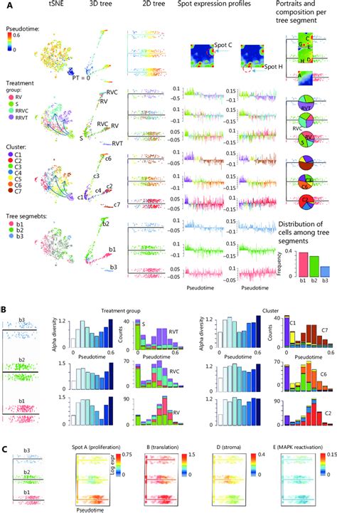 Figure S7 Pseudotime Analysis Of Developmental Paths Of Treatment