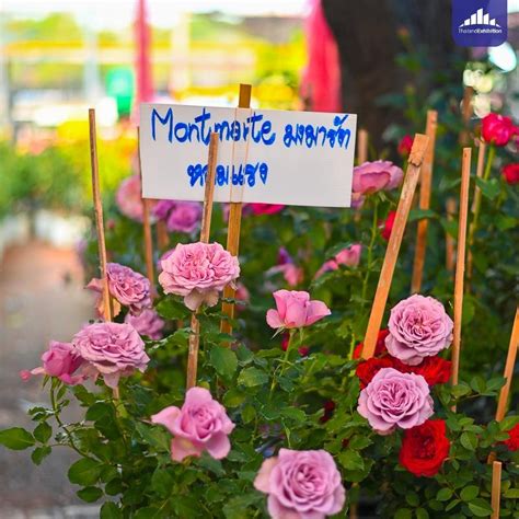 เกษตรแฟร์ ประจำปี 2568