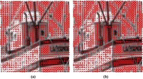 Visualization Of Estimated Local Orientations For A The Structure