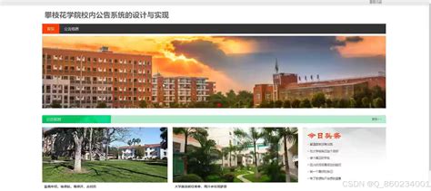 Spring Bootvue学院校内公告系统的设计与实现系统公告设计 Csdn博客