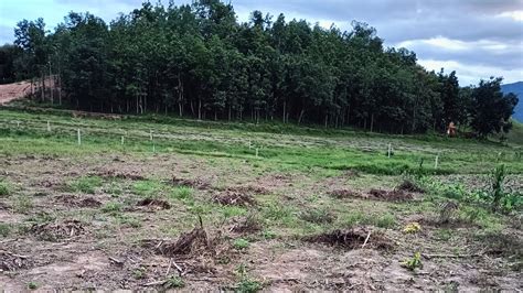 ကိၢ်ကိၢ်လၢၤလၢၤ သုးက့ခံအတၢ်ကွၢ်ဆၢၣ်မဲၣ် ၂၈ ၇ ၂၀၂၂ Youtube