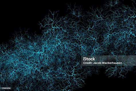 그래픽 배경 및 혈액 시스템 일러스트레이션 또는 디자인을 위한 파란색 정맥은 스튜디오에서 격리됩니다 모세관 검은 배경과 인체 해부학 프랙탈 질감 또는 벽지의 추상적 인 빛에