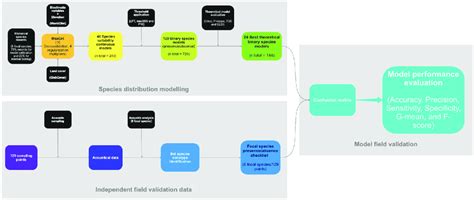 Flowchart Summarizing The Methodology Applied For The Modeling And