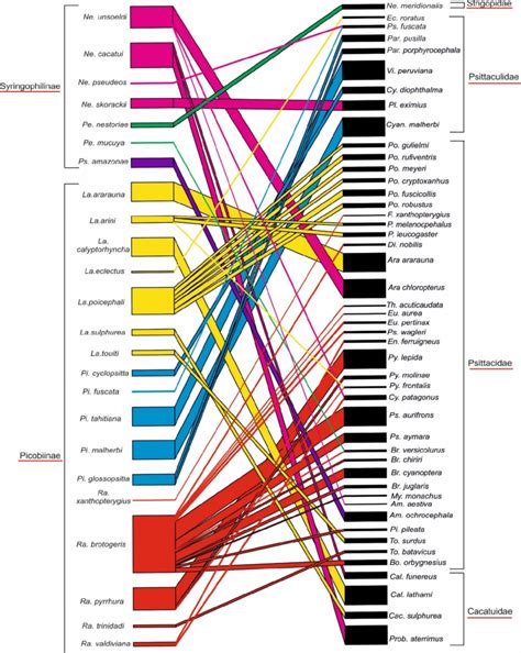 Bipartite Network Graph Of Interactions Between Quill Mite Species Download Scientific Diagram