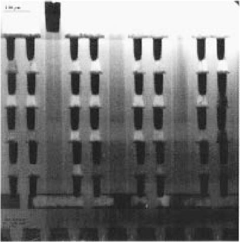 Figure 1 From An Embedded 32b Microprocessor Core For Low Power And High Performance