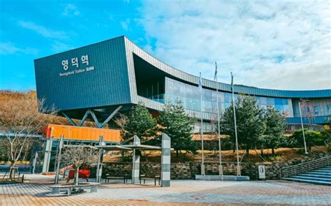 서울에서 영덕까지 기차타고 가는 방법 Ktx 포항역 환승시간표