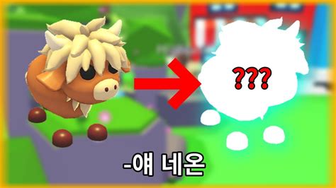 입양하세요 미친 존재감 하이랜드 카우 네온으로 만들어 보카 🐄 로블록스 입양하세요 새로운 펫 하이랜드 소 네온펫으로 변신 대박 펫 얻는법 코코맘코코 Youtube