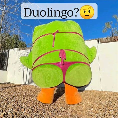 Duolingo🤨 In 2024 Funny Pictures Funny Pix Quick Jokes