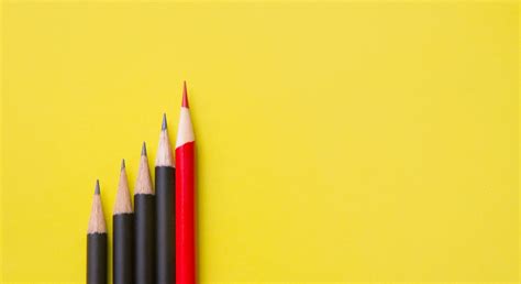 Who Does What In The Data Science Industry