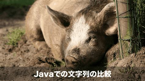 初心者向けJavaでの文字列と文字列の比較方法